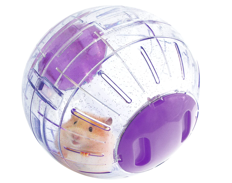 Transparent Plastic Hamster Rodent Ball Running Fitness Exercise Large ...