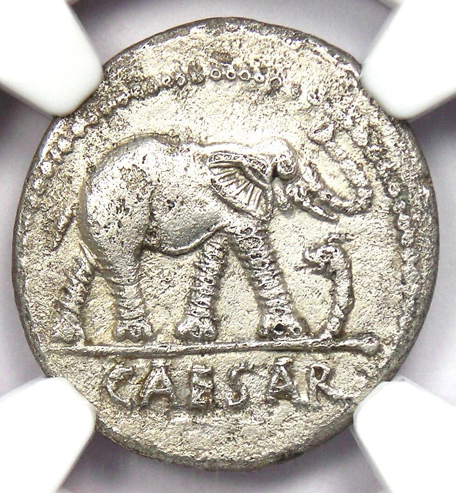 Julius Caesar AR Denarius Silver Elephant Roman Coin 49 BC - Certified ...
