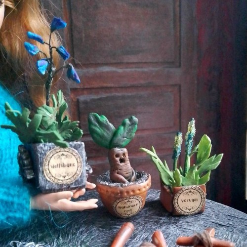 SET Miniature plants dollhouse Witch miniatures Apothecary wizard ...
