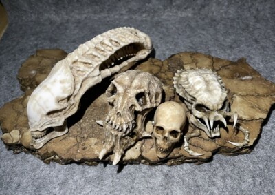 Alien Xenomorph Skull bone model For 1/6 Model Scene | eBay