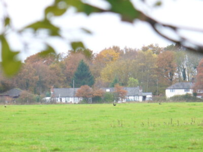 Photo 6x4 Sutton Green Sutton Green/TQ0054 Ribbon development on rural ...