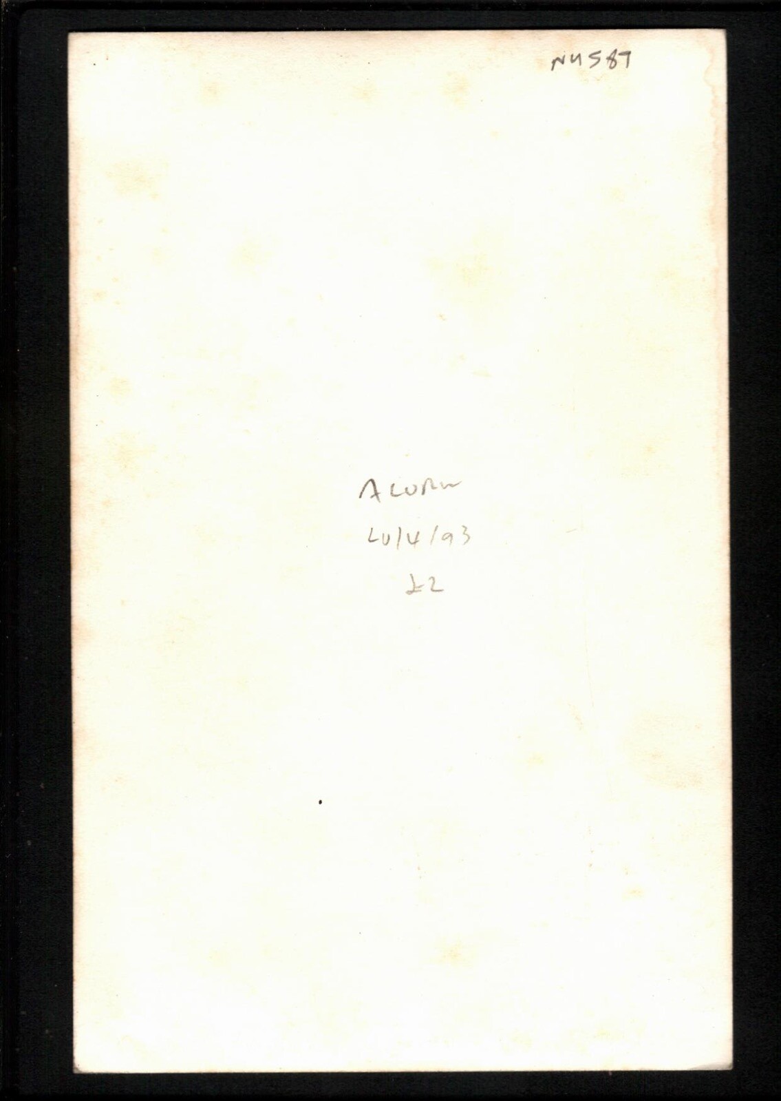 EROTIC RISQUE NUDE NU WOMAN STOCKINGS SUSPENDERS VINTAGE PHOTOGRAPH ...