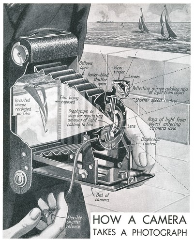 How A Camera Works Art Print | Restored Vintage Bellows Photography ...