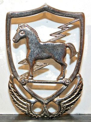 US Army Tenth 10th Special Forces Group Beret Badge Crest Pin Insignia ...