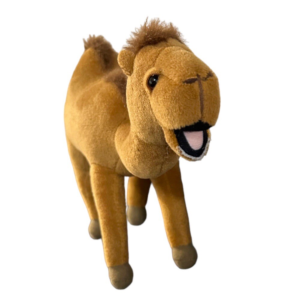 Geico Hump Day Camel Pictures