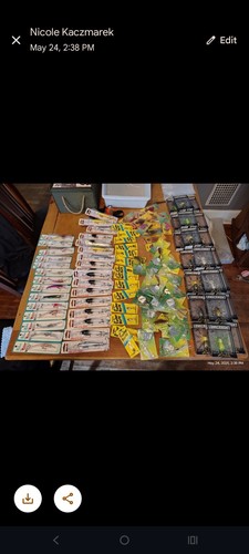 Huge Lot Of Fishing Lures Walleye Deep Bandit Reef Runner Panther ...