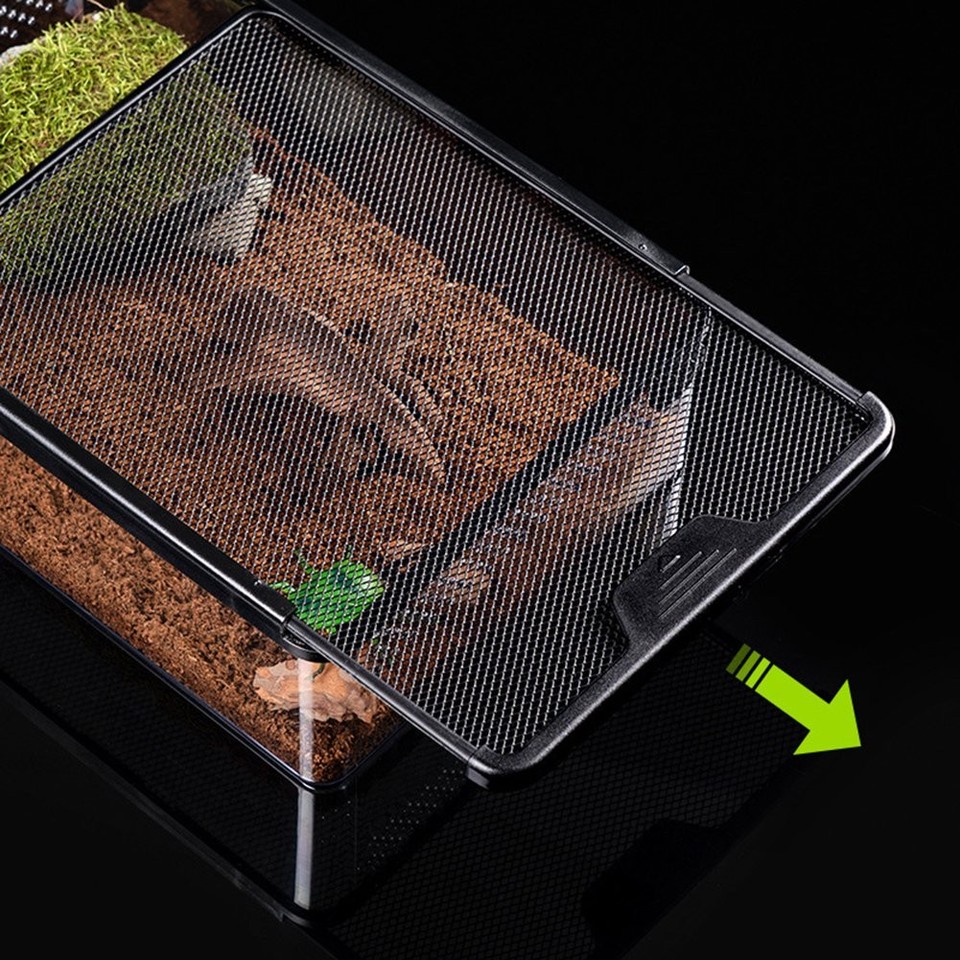 Transparent Reptile Feeding Box Amphibian Insect Reptile Breeding ...