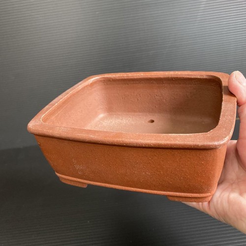 Japanese Bonsai pot SHIDEI Unglazed Rectangular Small size W15.9cm ...