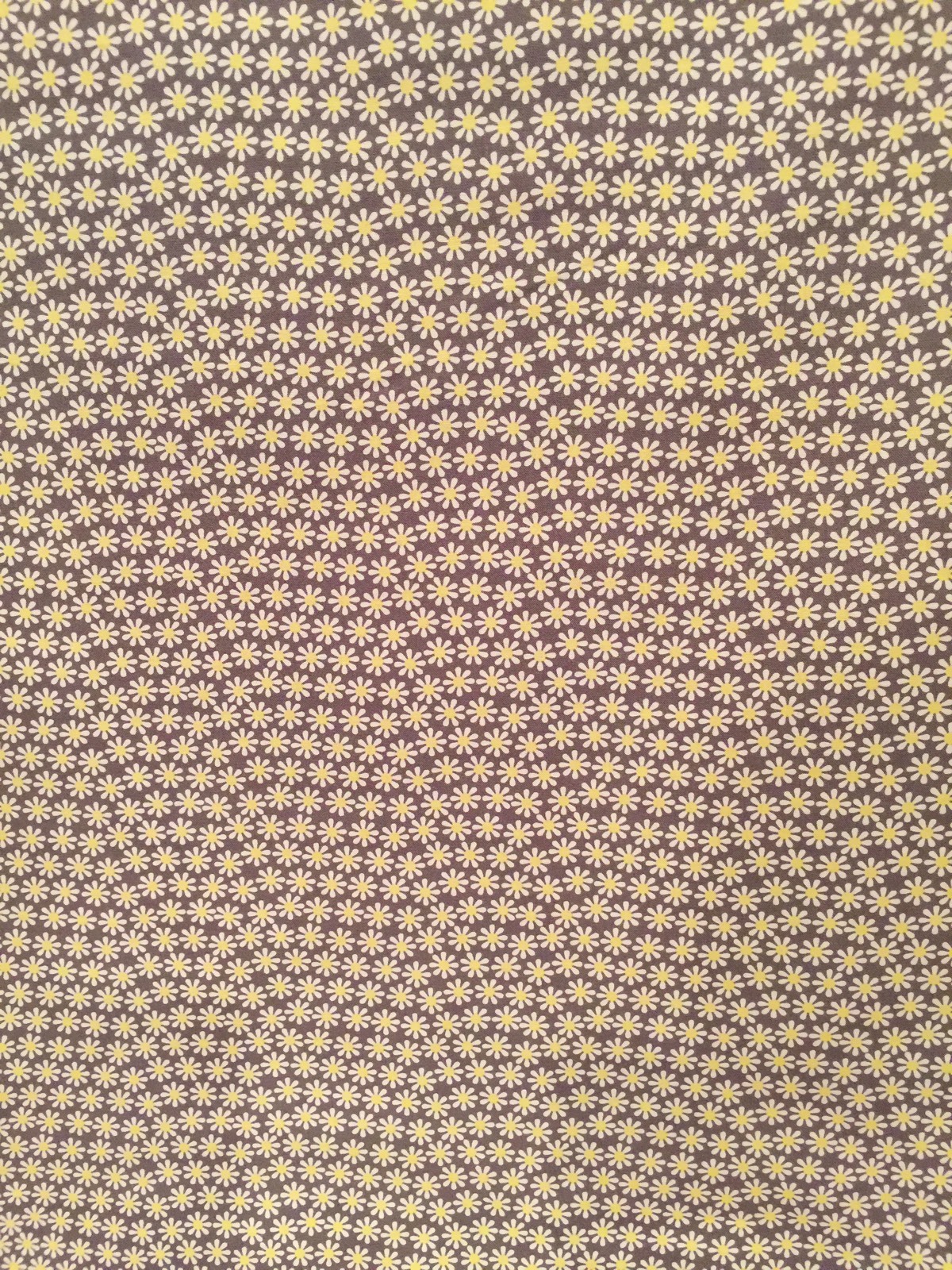 Daisy Flowers By Michael Miller CTRN/GREY Fabric BTHY Cute! | eBay