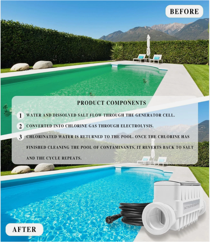 520555 Salt Chlorine Generator Cell for Pentair, for Pools Up to 40,000 ...