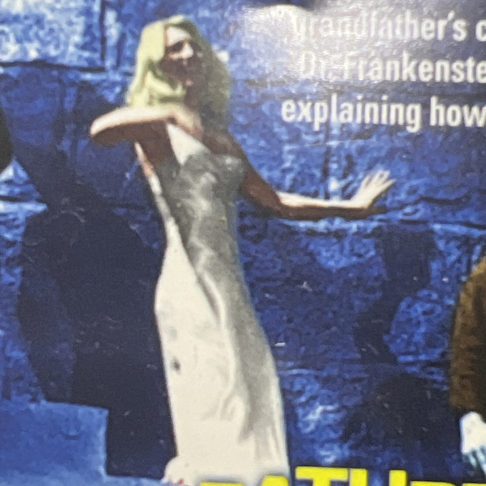 Young Frankenstein (DVD 1974)Gene Wilder Peter Boyle Marty Feldman FREE ...