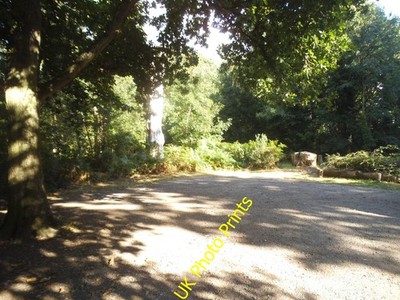 Photo 12x8 The car park in Witley Common Bowlhead Green c2016 | eBay