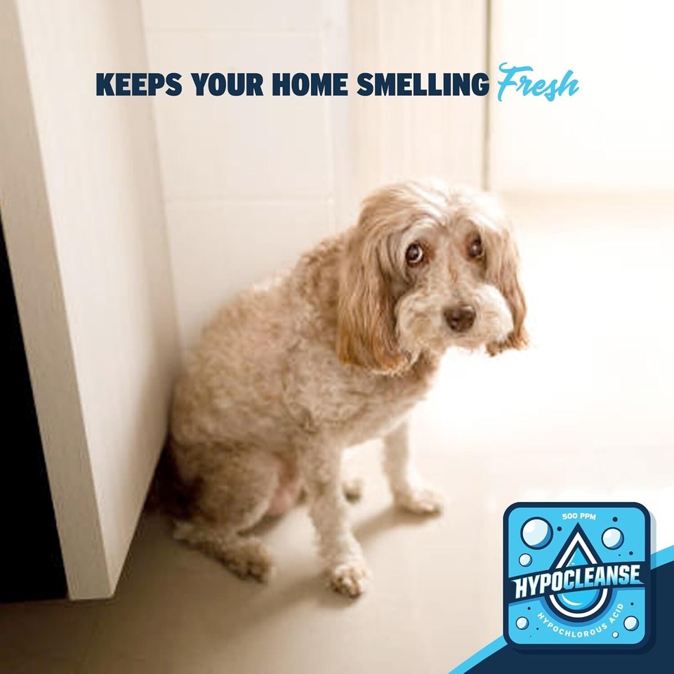 Hypochlorous Acid 1 Gallon - 500ppm - Professional Strength ...