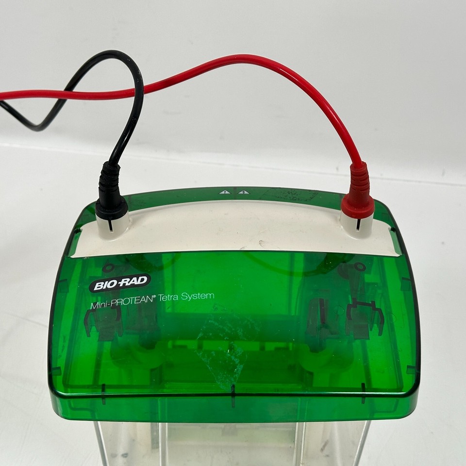 Bio-Rad Mini-Protean Tetra Cell System | eBay