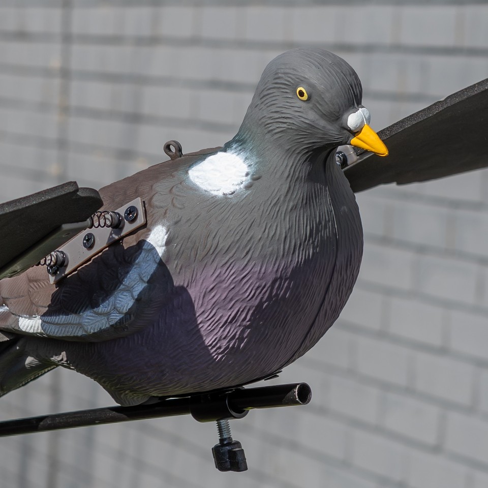 Nitehawk Full Body Painted Realistic Pigeon Hunting Decoy with Moving ...