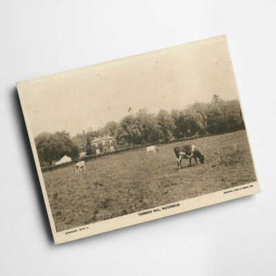 A4 PRINT - Vintage Scotland - Torbeck Hill, Waterbeck (b) | eBay UK