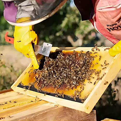 2pcs Stainless Steel Hive Scraper Tools Beekeeping Equipment Bee Hive ...