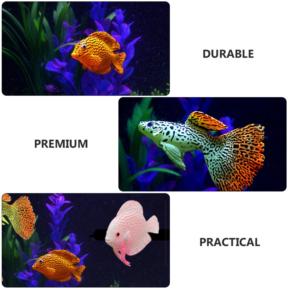 Pet Fish Types For Kids