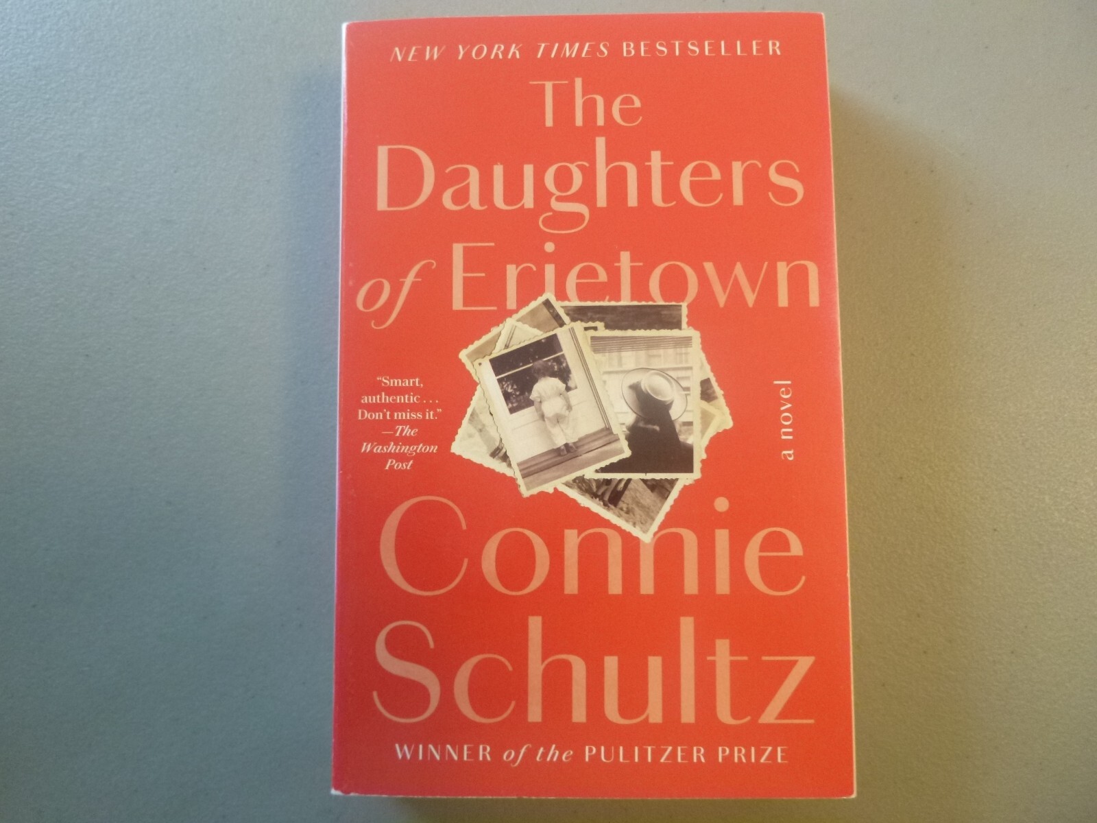 The Daughters of Erietown by Connie Schultz 9780525479529| eBay