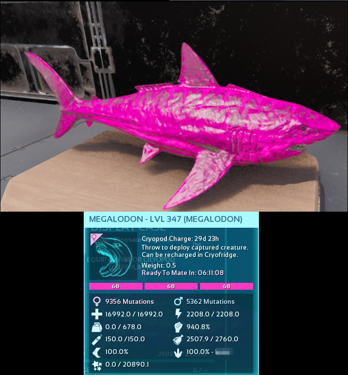 ARK Survival Ascended PvE PC/XBOX/PS5 NEW TOP STATS Megalodon solid | eBay