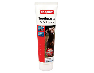 Beaphar Toothpaste For Dogs And Cats | eBay UK