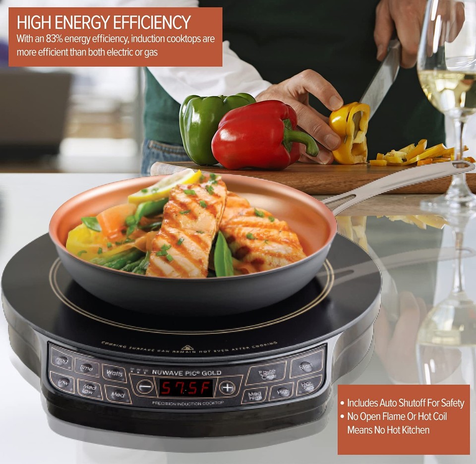 Gold Precision Induction Cooktop, Portable, Powerful with Large 8 ...