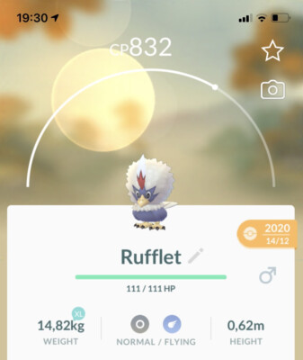 Rufflet (Braviary) Pokemon Trade Go Not Shiny Pokémon Great league PVP ...