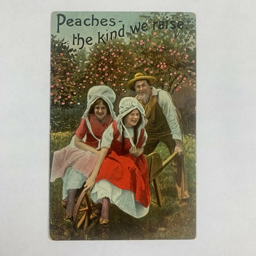 Postcard Pennsylvania Lancaster PA Peaches Pretty Amish Girls 1916 ...