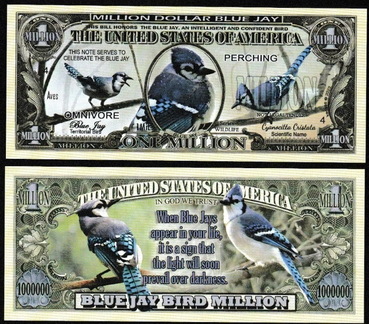 Funny Blue Jays