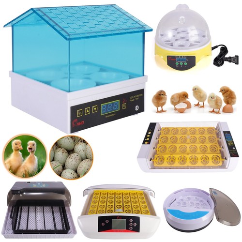 Egg Incubator Automatic Chicken Quail Chick Bird Hatcher Temperature ...