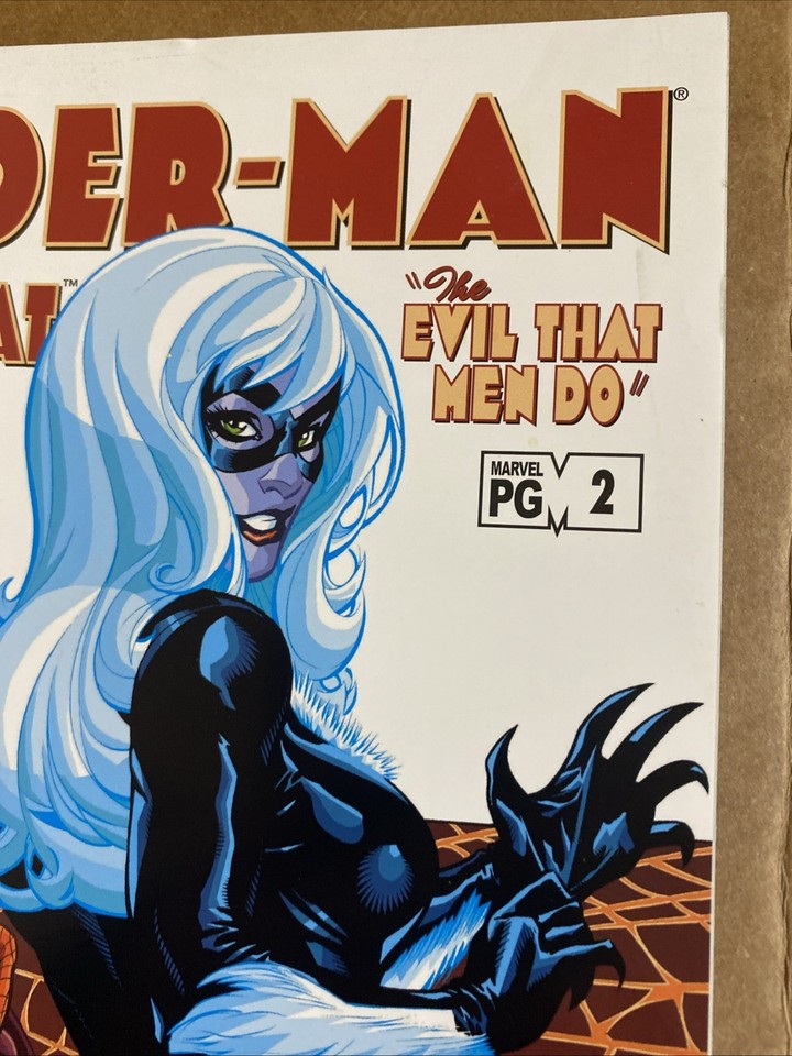Spider-Man and the Black Cat: The Evil That Men Do #2 Marvel Comics | eBay