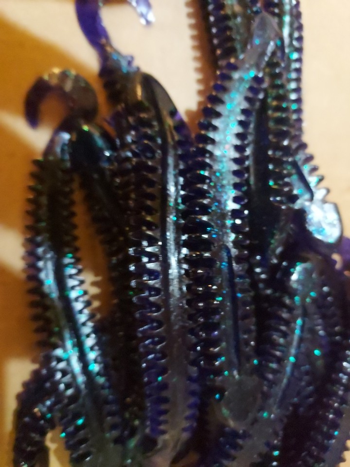 Zipper Style 5" Worm Junebug Made In USA 20ct | eBay