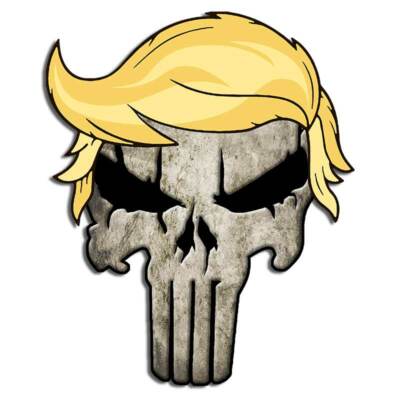 2020 TRUMP HAIR PUNISHER SKULL DECAL Window Car Truck Phone Bumper ...