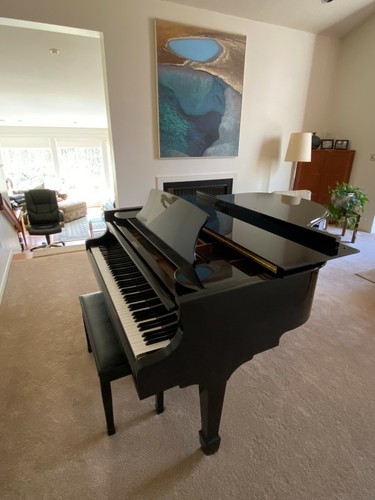 Samick 6' 1" Grand Piano Polished Ebony Model SG-185 Pristine Condition ...