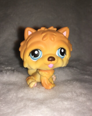 Littlest Pet Shop Dog LPS #117 Tan Chow Chow Authentic LPS Rare | eBay UK