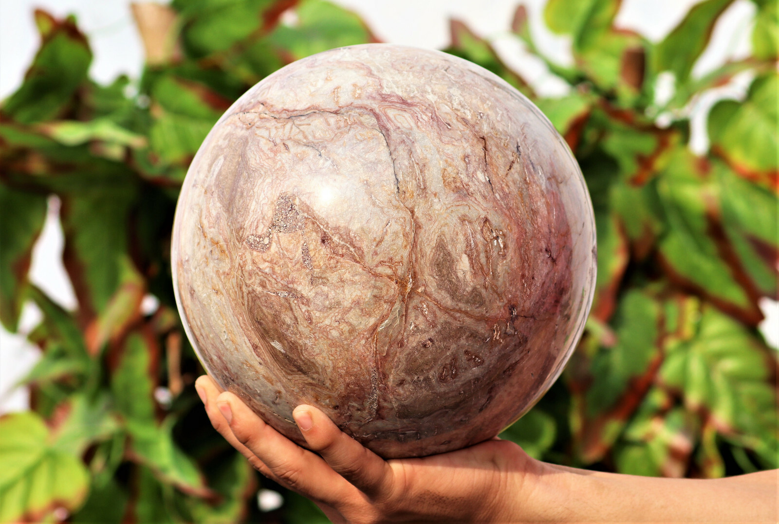 210MM Pink Rosetta Jasper Crystal Healing Ball Chakra Energy Gemstone ...