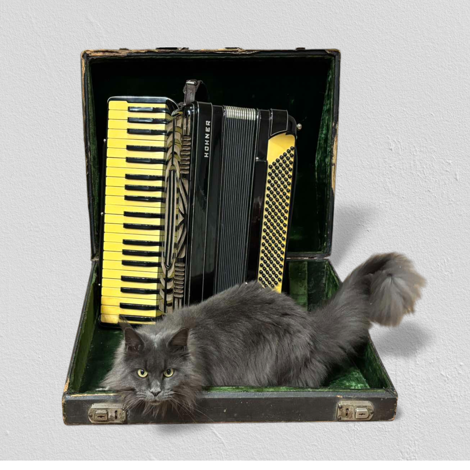 Hohner Tango V Accordion 41 Keys 140 Bass Serviced Vintage Germany ...