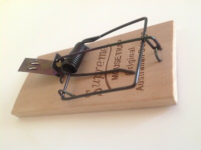 Timber Mouse Traps Heavy Duty x 12 - Supreme Brand. Trap Wood Timber ...