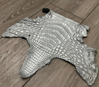 Silver Genuine Caiman Crocodile belly Hide Leather Skin real alligator ...