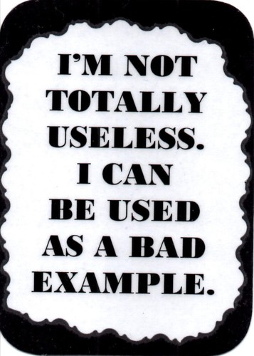 3287 Humorous Refrigerator Magnet Sign I'm Not Totally Useless Bad ...