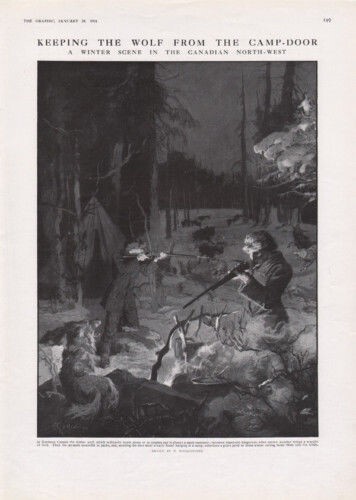 1914 CANADIAN NORTHWEST TIMBER WOLF ATTACK CAMP HUNT WALLCOUSINS PRINT ...