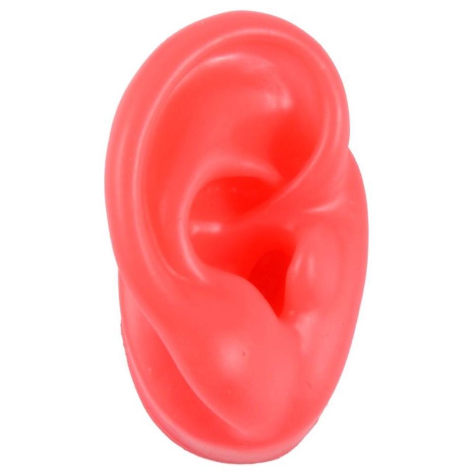 Silicone Piercing Model Ear Stud Display Tools Medical Teaching Props ...
