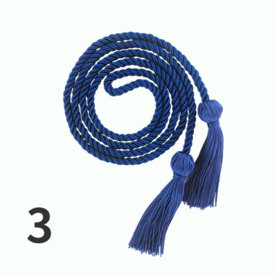 Grad Days Graduation Cord Rope Honor Tassels and Students Photography ...