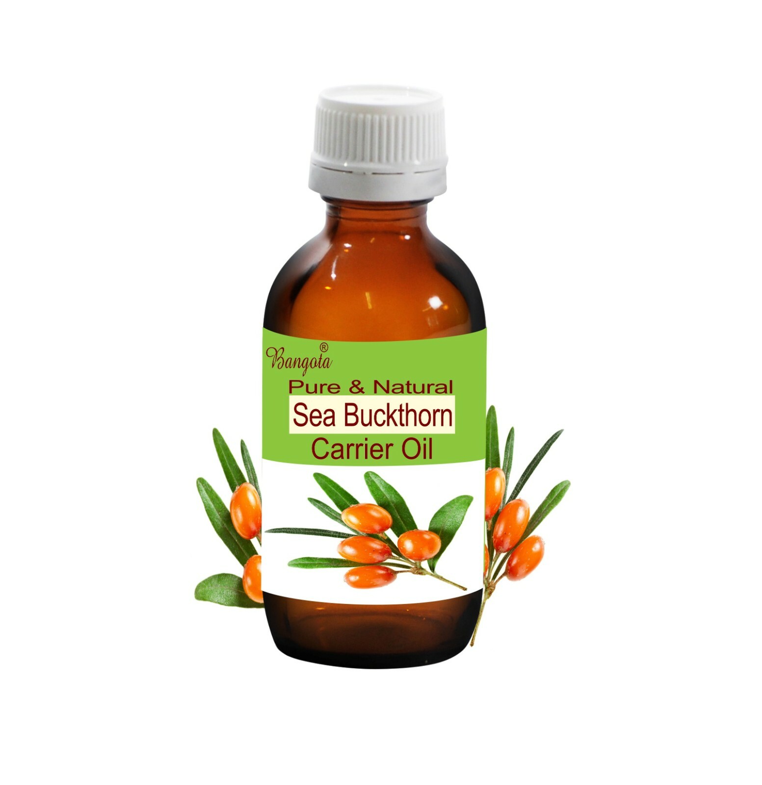 Sea Buckthorn Pure Natural Carrier Oil 15 ml Hippophae Rhamnoides by ...