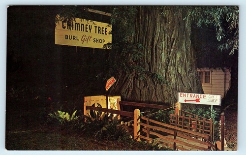 PHILLIPSVILLE, California CA Night View CHIMNEY TREE GIFT SHOP 1964 ...