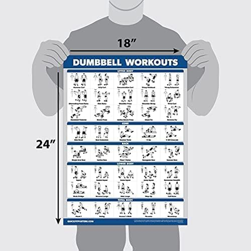 Dumbbell Workout Exercise Poster - Free Weight Body Building Gui | eBay