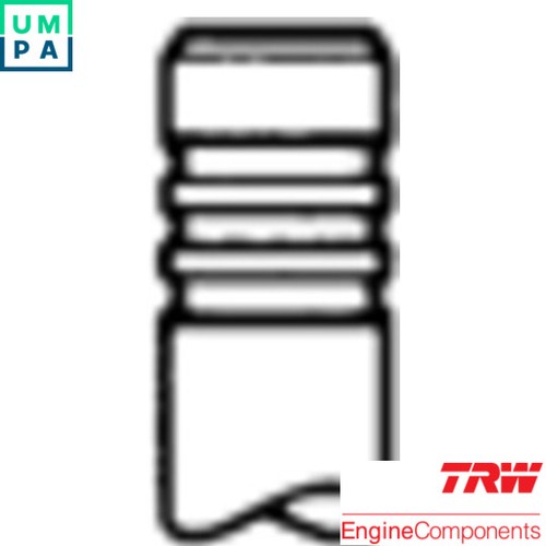 4x INLET VALVE 331128 FOR VW BWS/CMTA/CGRA/BHK/CMVA/CHNA/CDVA 3.6L AYT ...