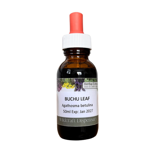 BUCHU LEAF LIQUID EXTRACT TINCTURE 50ml Herbal Concentrate Agathosma ...
