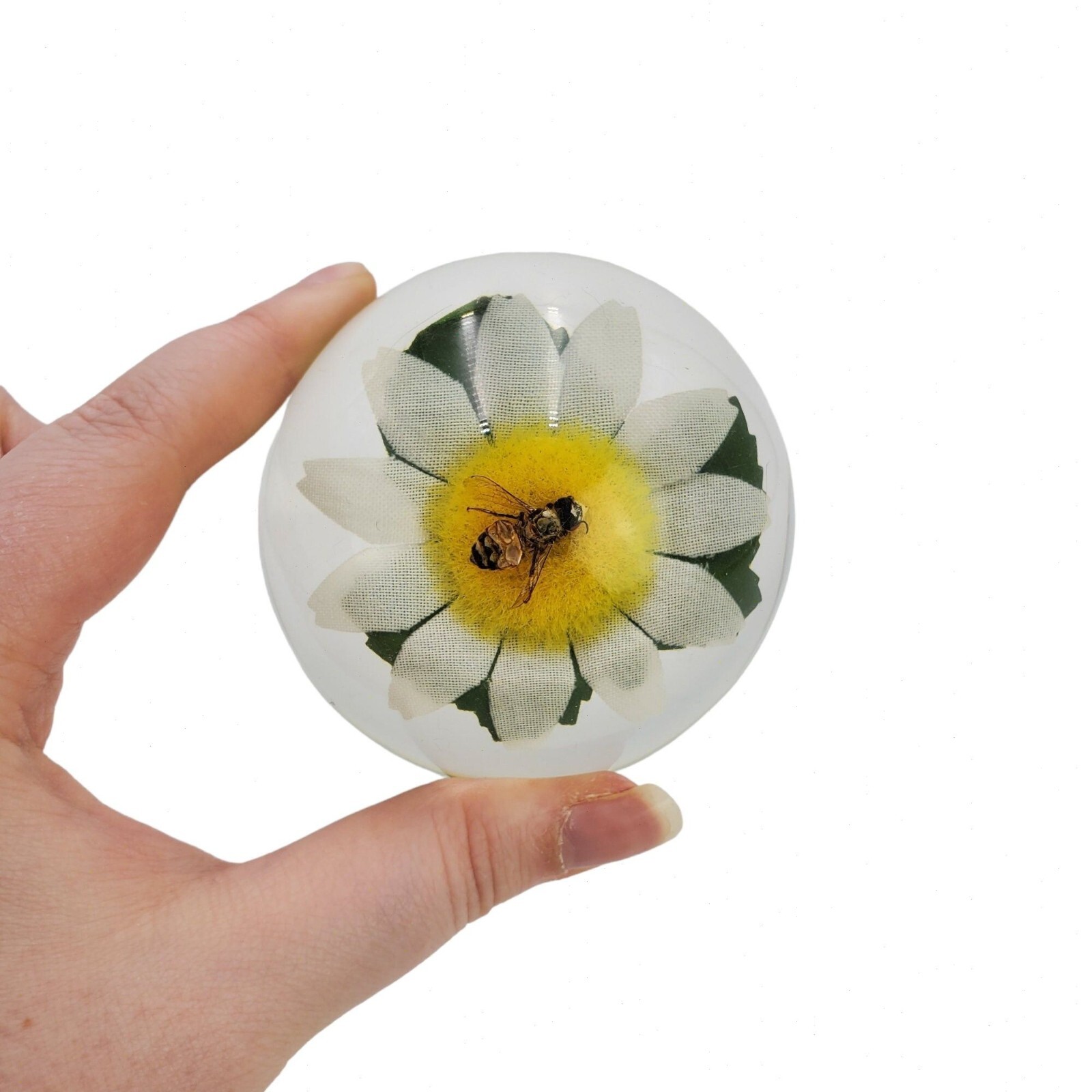 VTG Clear Lucite Taxidermy Bumblebee on Daisy Paperweight Oddity Bumble ...