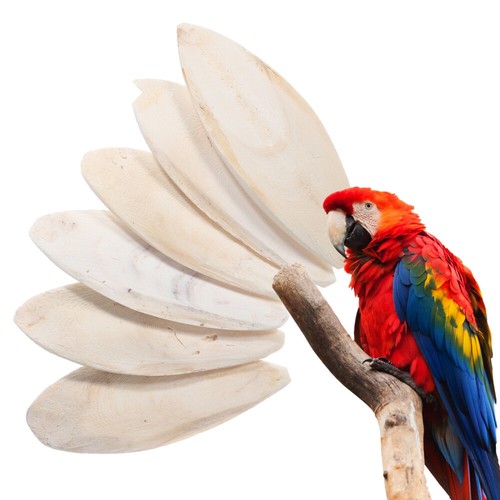 6 Pcs Toys of Bird Cage Travel Cuttlebone Chew Cockatiel | eBay